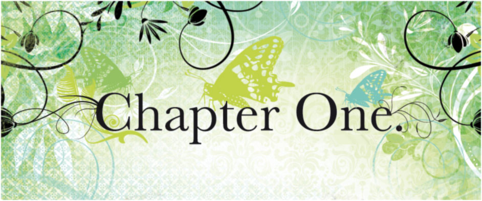25 Things to Know About Writing the First Chapter of Your Novel ...